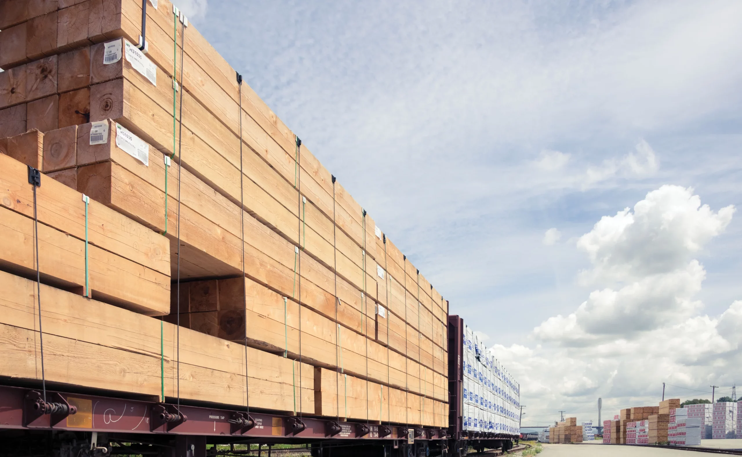 Wholesale Wood Supplier - Olympic Industries