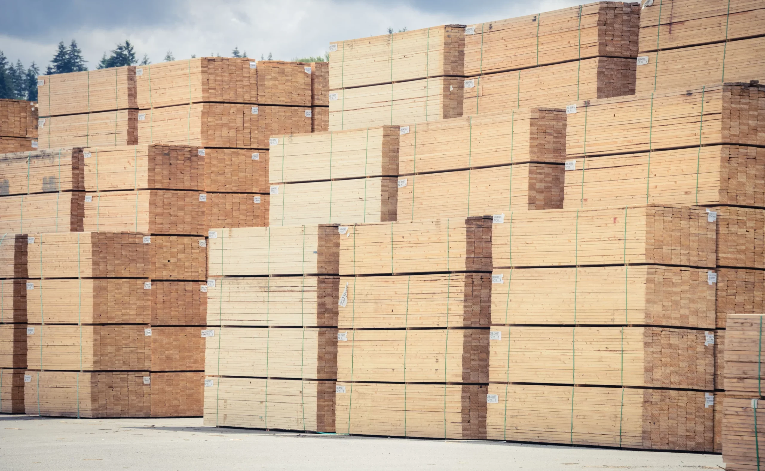 A Guide to Softwood Lumber Grades - Olympic Industries