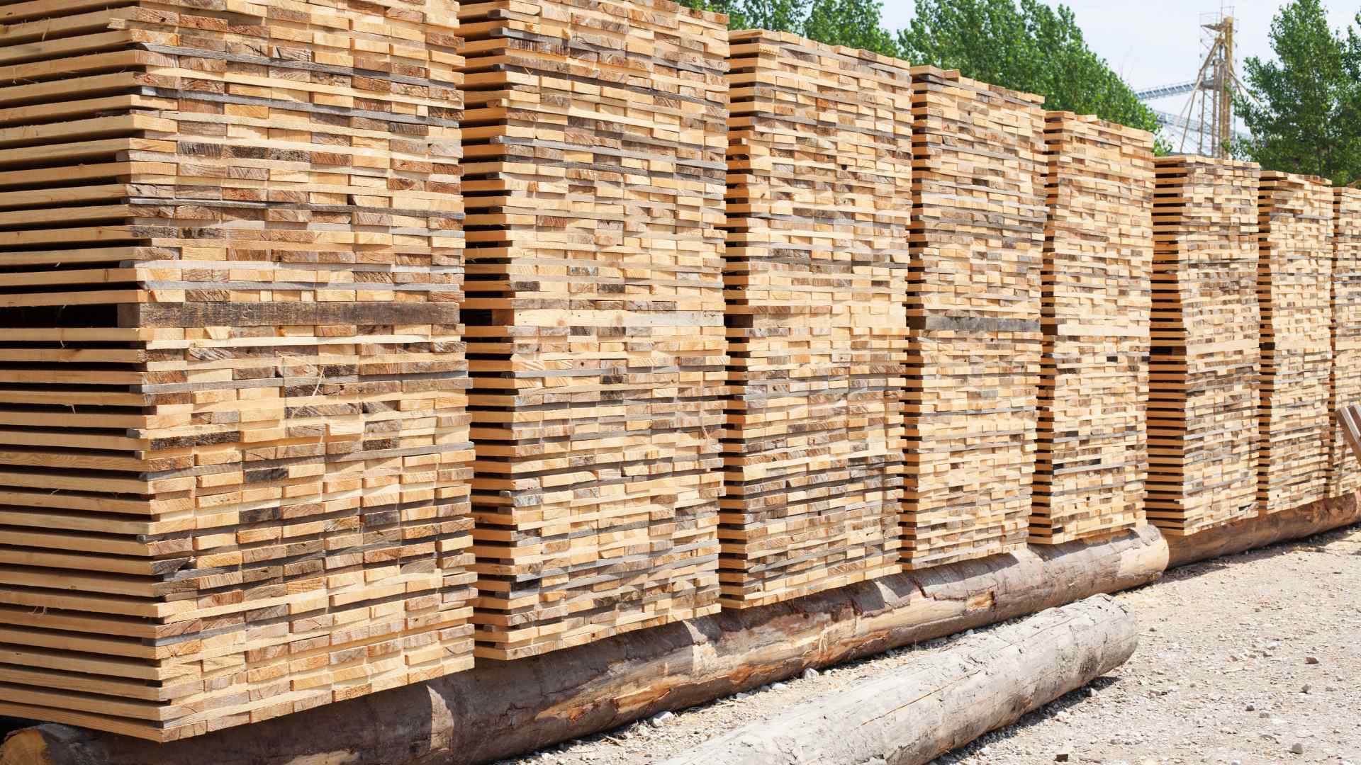 KDHT vs. Pressure Treated vs. Green Lumber - Olympic Industries