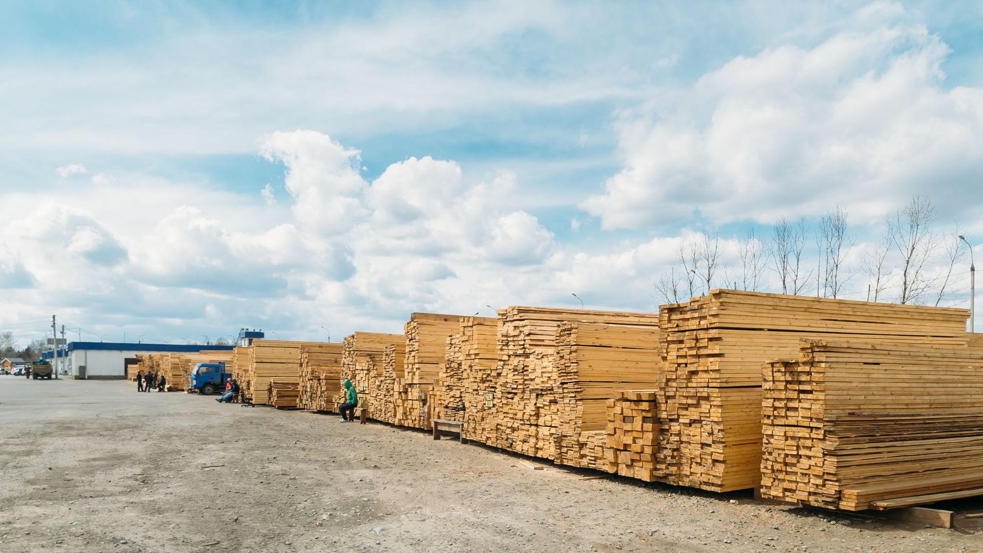 Benefits of Using Southern Yellow Pine Outdoors - Olympic Industries